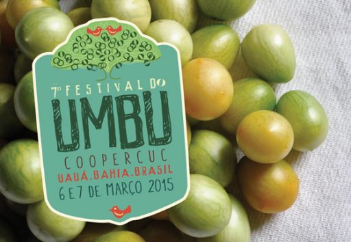 Festival celebra o Umbu no sertão da Bahia - Slow Food Brasil