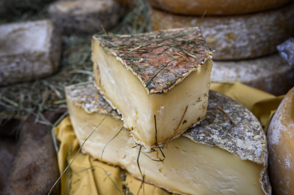 Queijo Artesanal de Leite Cru - Slow Food Brasil